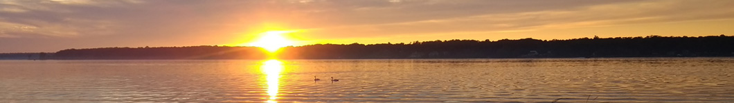 Home - White Lake Association